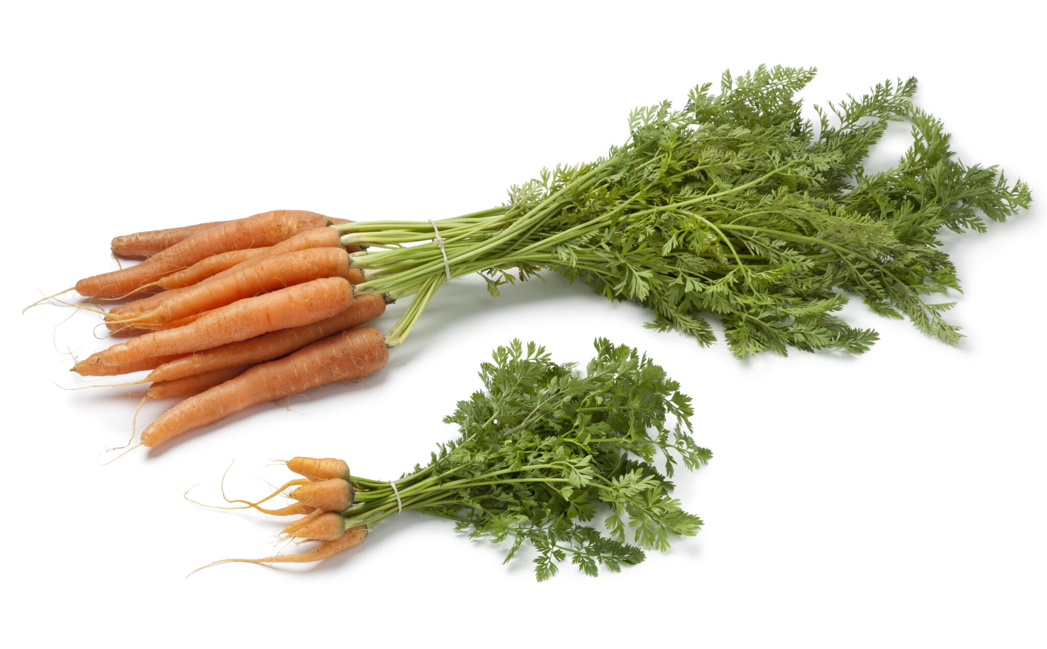Pickling Baby / Miniature Vegetables - Great Lakes Pickling Company