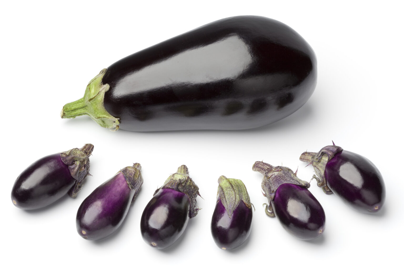 Pickling Baby / Miniature Vegetables - Great Lakes Pickling Company
