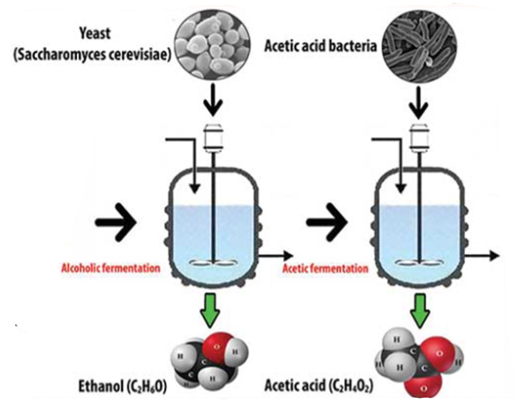 The Power of Sour: Past and Present History of Vinegar - Great Lakes ...